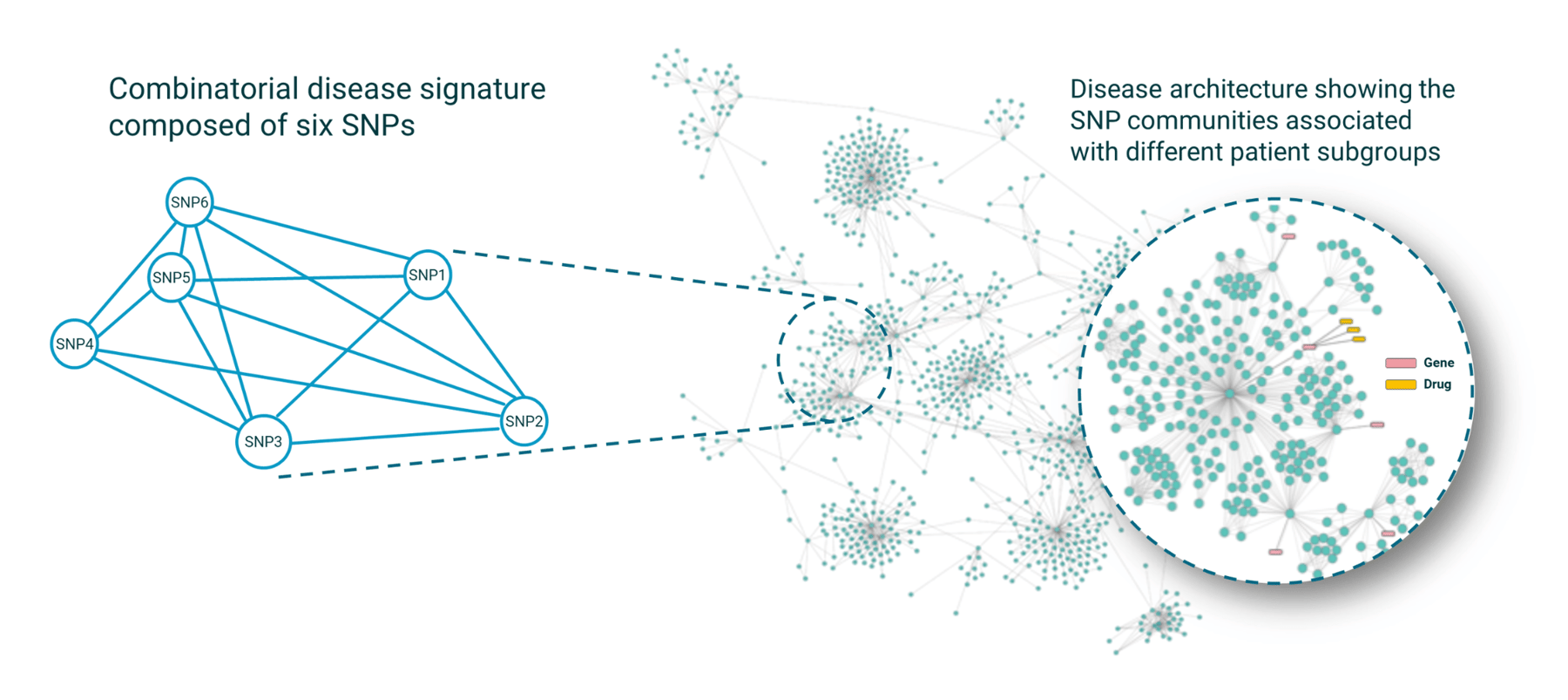 How can mechanistic patient stratification inform R&D?