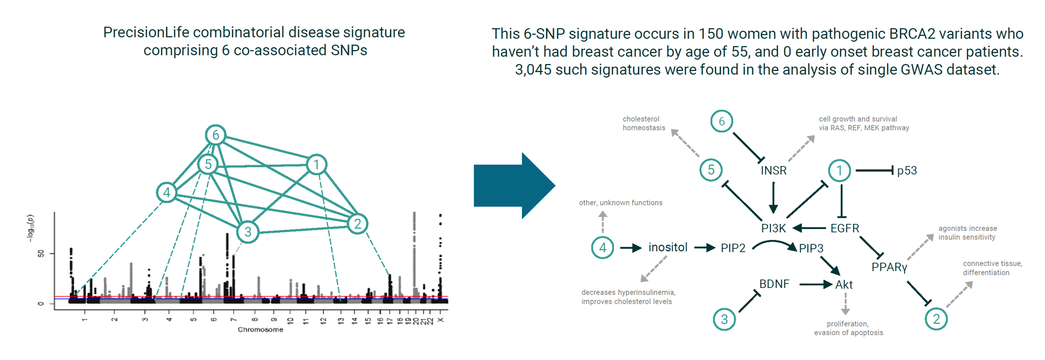Systematic drug repurposing | PrecisionLife